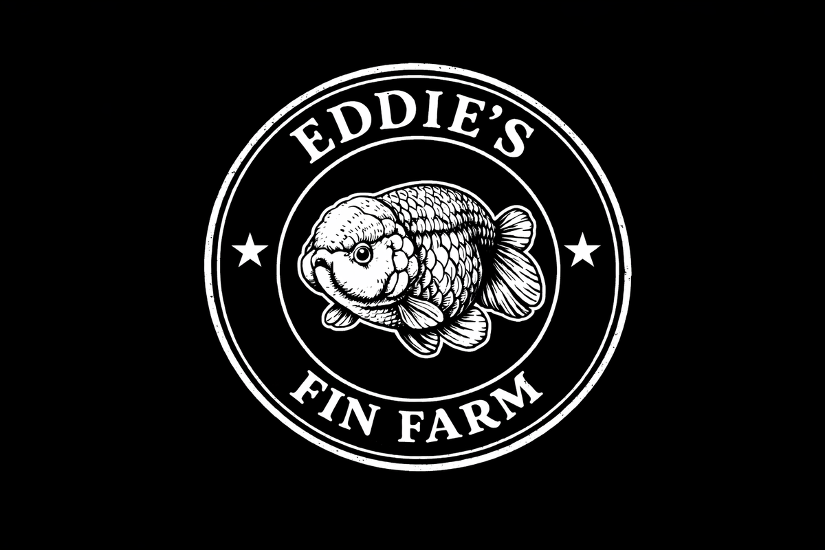 Eddie's Fin Farm – Eddies Fin Farm